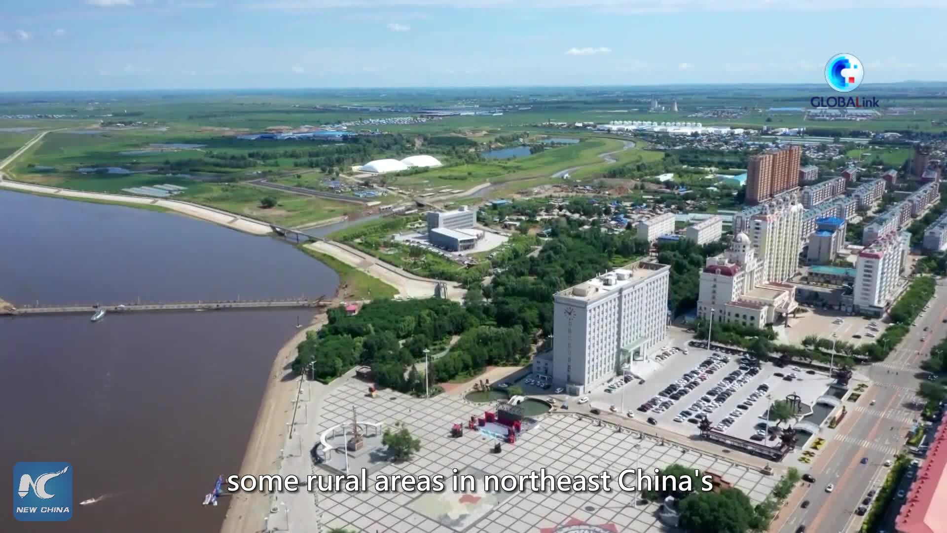 GLOBALink | Farmers in China's Nenjiang benefit from rural e-commerce ...